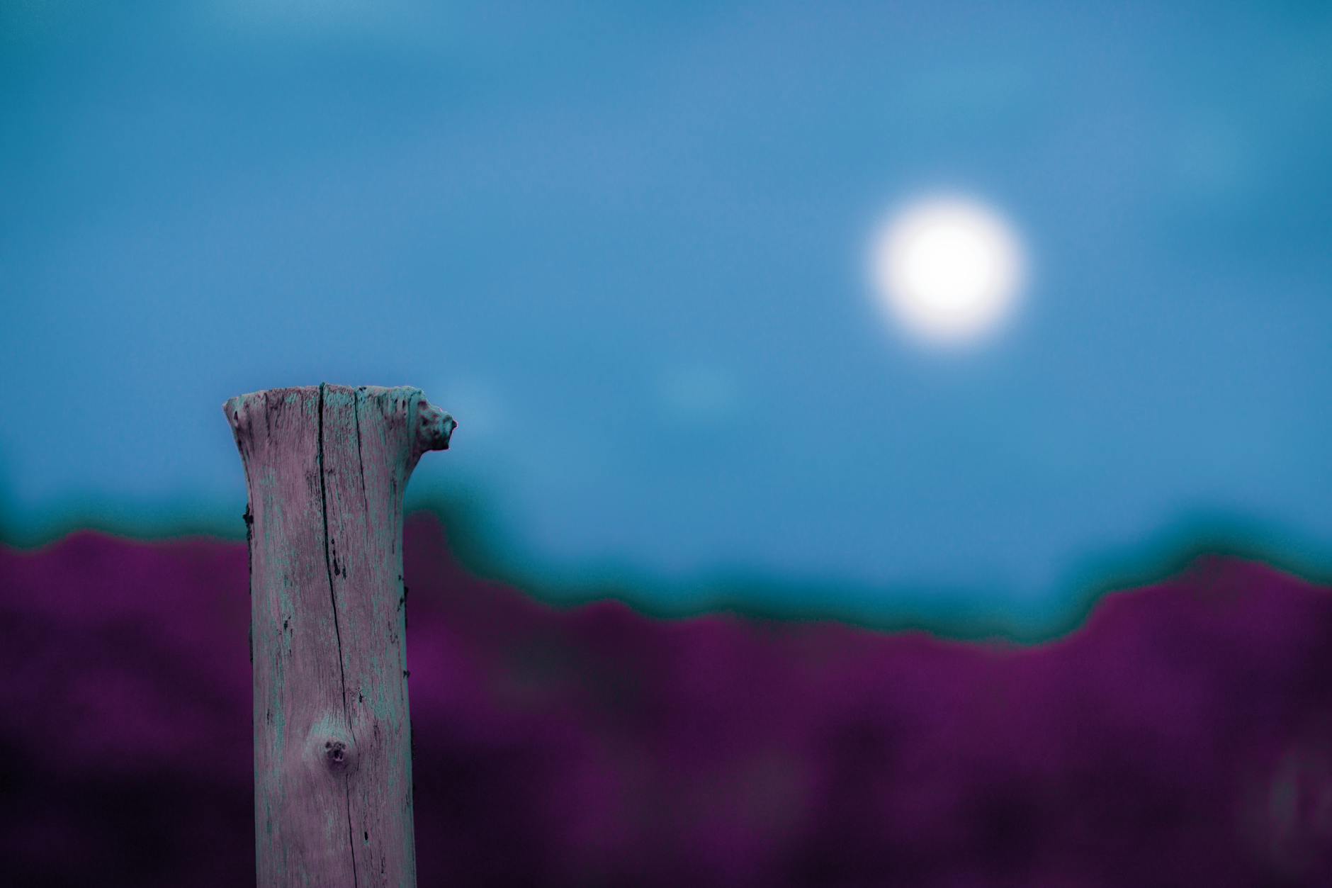 Durerea de tendoane: cauze, simptome și tratament. - Clinic Sanatos